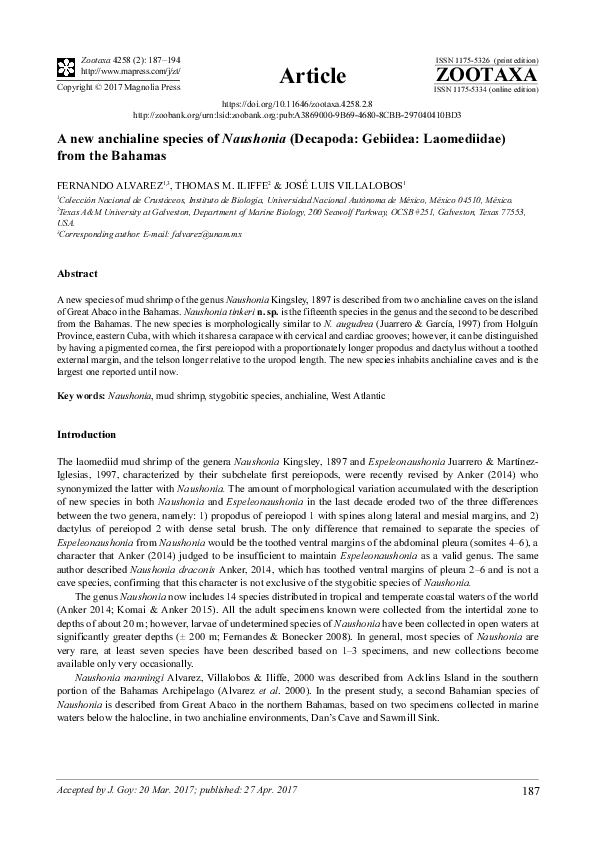 (PDF) A new anchialine species of Naushonia (Decapoda: Gebiidea ...