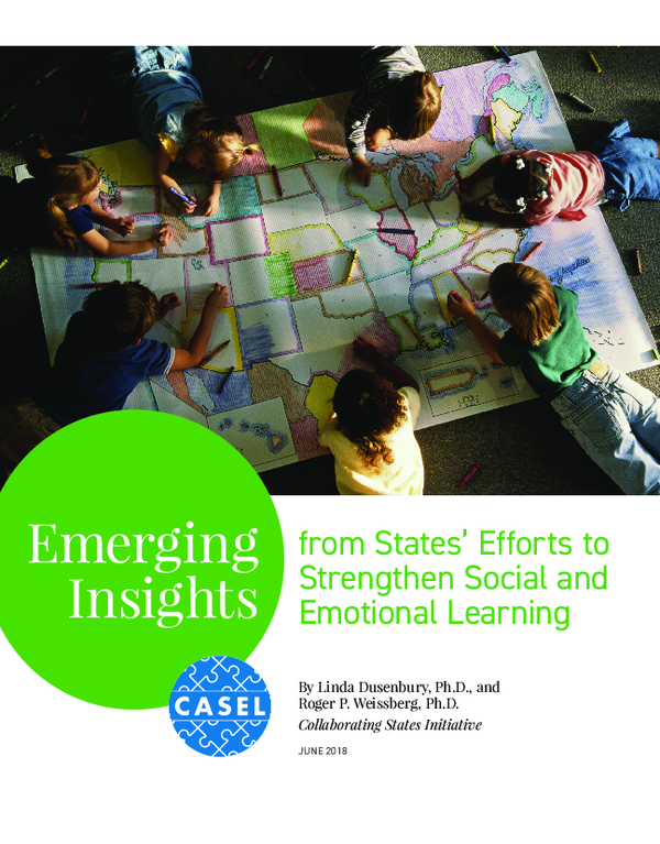 (PDF) Emerging Insights from States' Efforts to Strengthen Social and ...