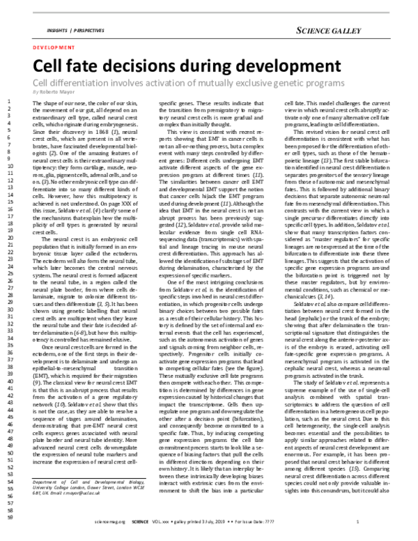(PDF) Cell Fate Decisions During Preimplantation Mammalian Development