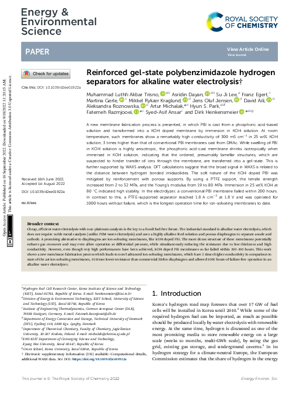 (PDF) Reinforced gel-state polybenzimidazole hydrogen separators for ...