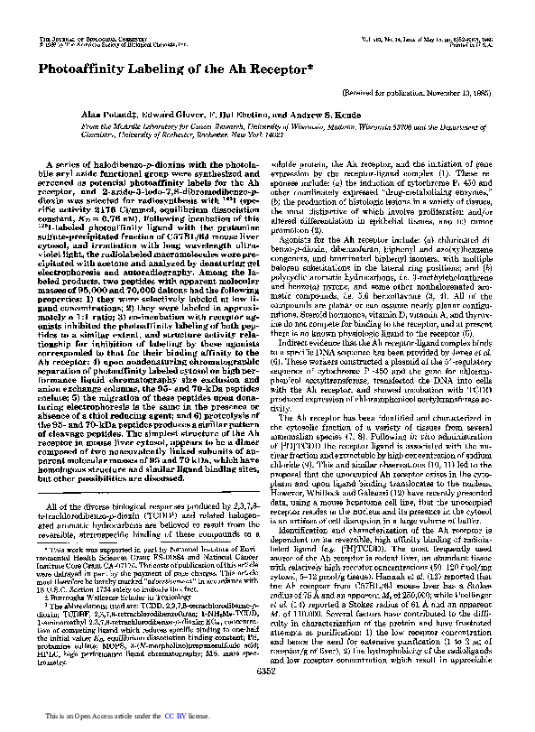 (PDF) Photoaffinity labeling of the Ah receptor