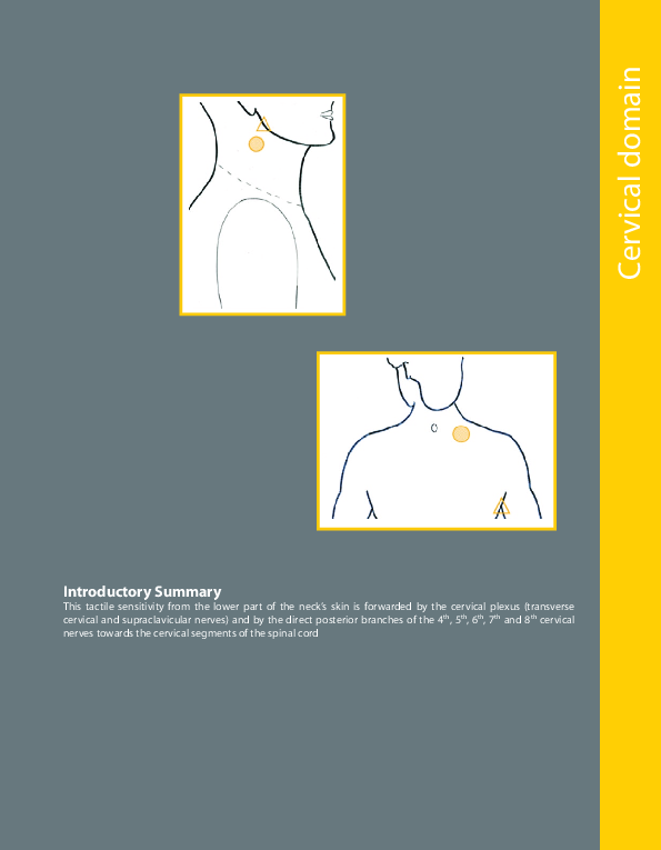 (PDF) Cervical domain