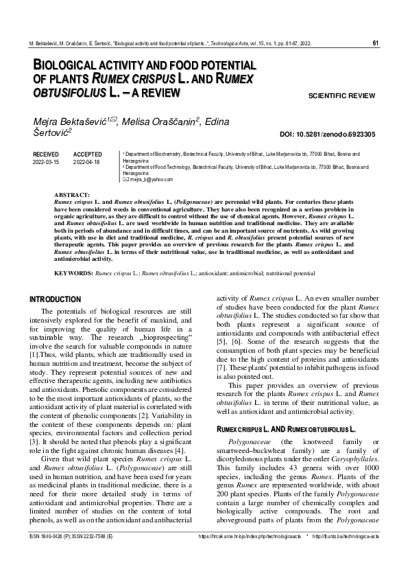 (PDF) Biological activity and food potential of plants Rumex crispus L. and Rumex obtusifolius L ...