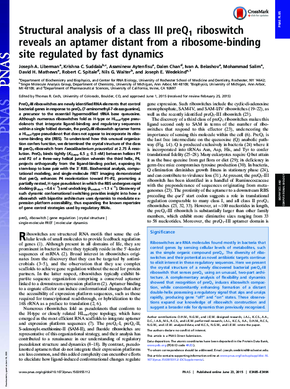 (PDF) Structural analysis of a class III preQ 1 riboswitch reveals an ...