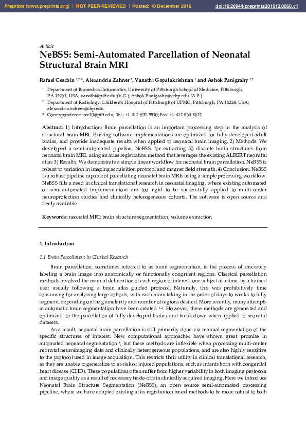 (PDF) NeBSS: Semi-Automated Parcellation of Neonatal Structural Brain MRI