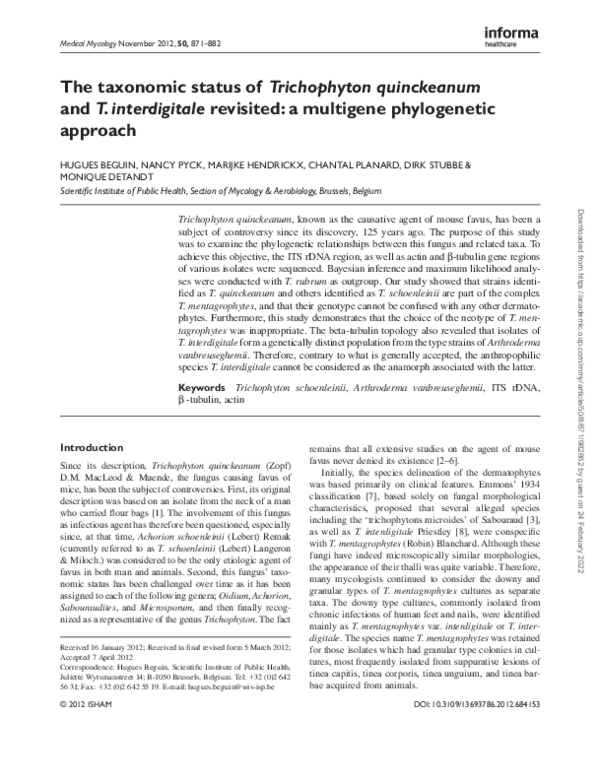(PDF) The taxonomic status of Trichophyton quinckeanum and T ...