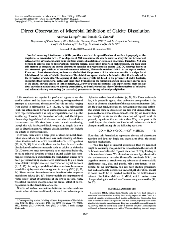 (PDF) Microbial Inhibition of Calcite Dissolution Observed