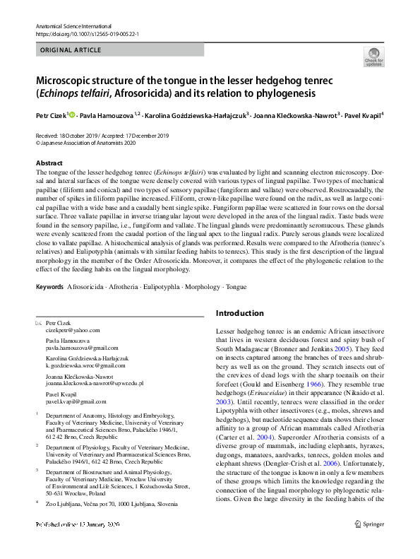 (PDF) Microscopic structure of the tongue in the lesser hedgehog tenrec ...