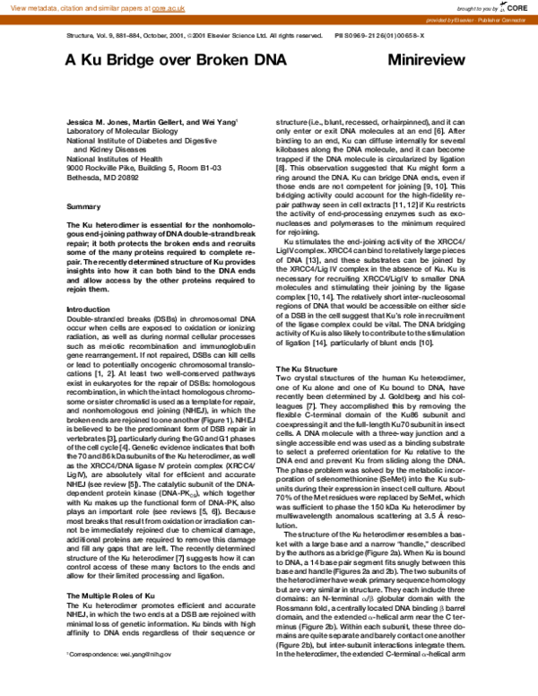 (PDF) A Ku Bridge over Broken DNA