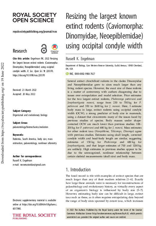 (PDF) Resizing the largest known extinct rodents (Caviomorpha ...