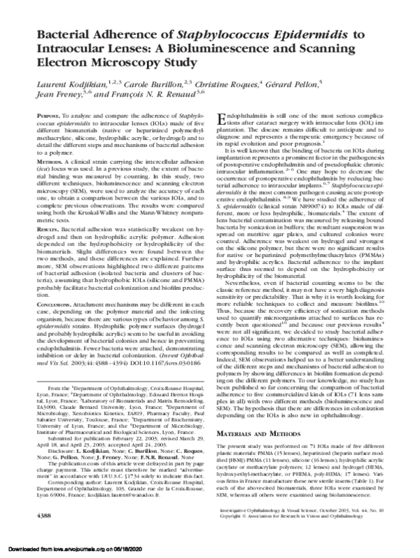 (PDF) Bacterial Adherence of Staphylococcus Epidermidis to Intraocular ...