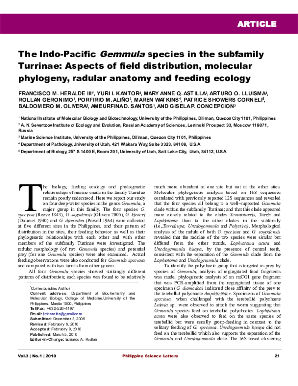 (PDF) The Indo-Pacific Gemmula Species in the Subfamily Turrinae ...