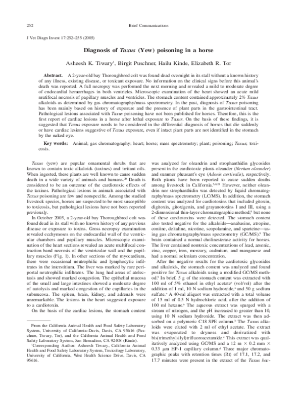 (PDF) Diagnosis of Taxus (Yew) Poisoning in a Horse