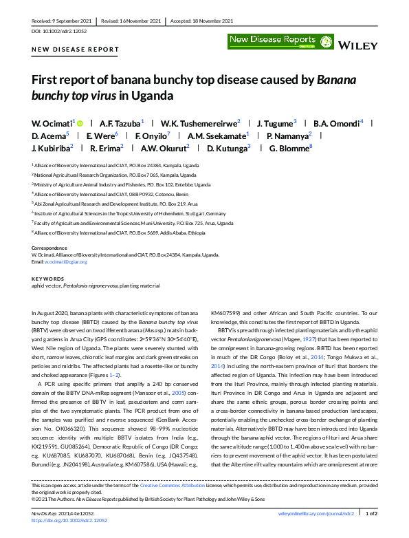 (PDF) First report of banana bunchy top disease caused by Banana bunchy ...