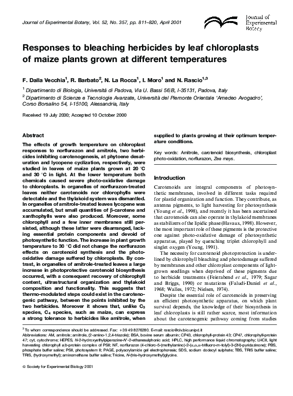 (PDF) Responses to bleaching herbicides by leaf chloroplasts of maize ...