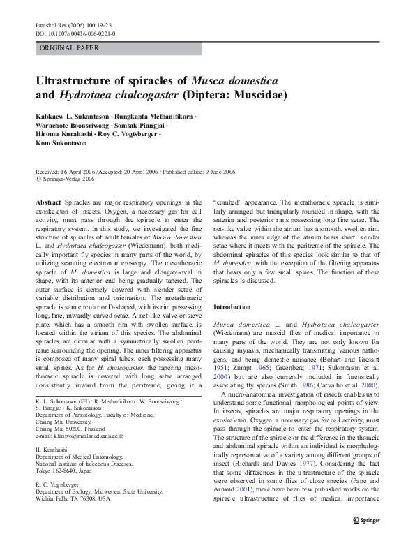 (PDF) Ultrastructure of spiracles of Musca domestica and Hydrotaea ...