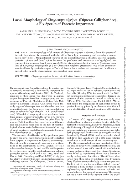 (PDF) Larval Morphology of Chrysomya nigripes (Diptera: Calliphoridae ...