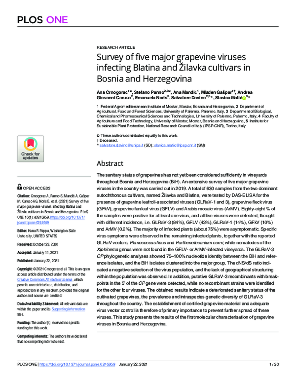 (PDF) Survey of five major grapevine viruses infecting Blatina and Žilavka cultivars in Bosnia ...