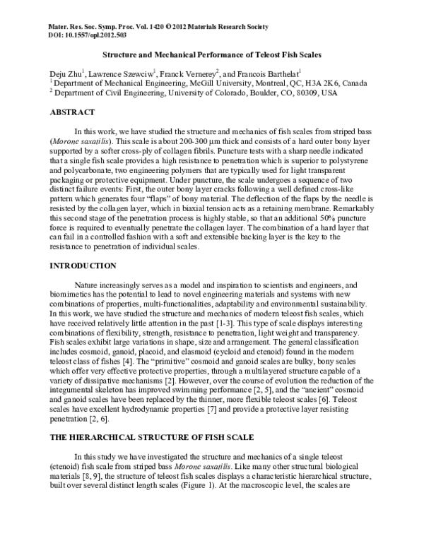 (PDF) Structure and Mechanical Performance of Teleost Fish Scales