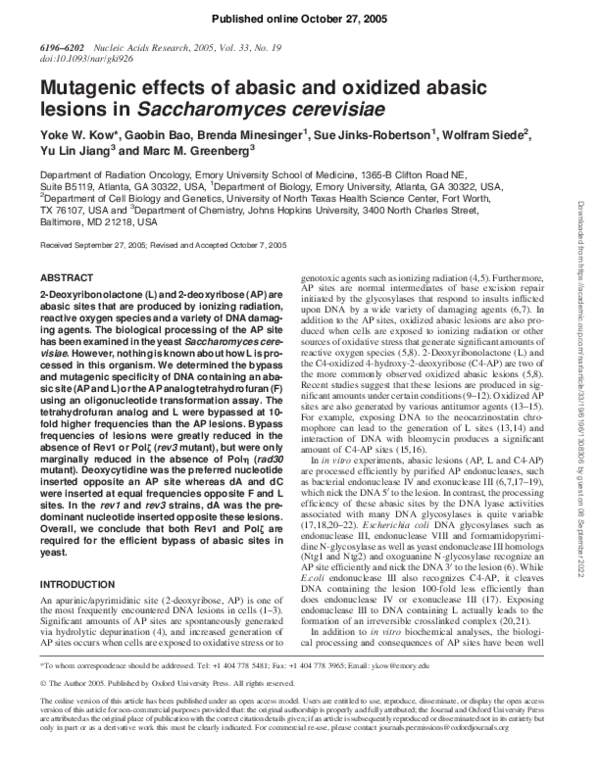 (PDF) Mutagenic effects of abasic and oxidized abasic lesions in ...