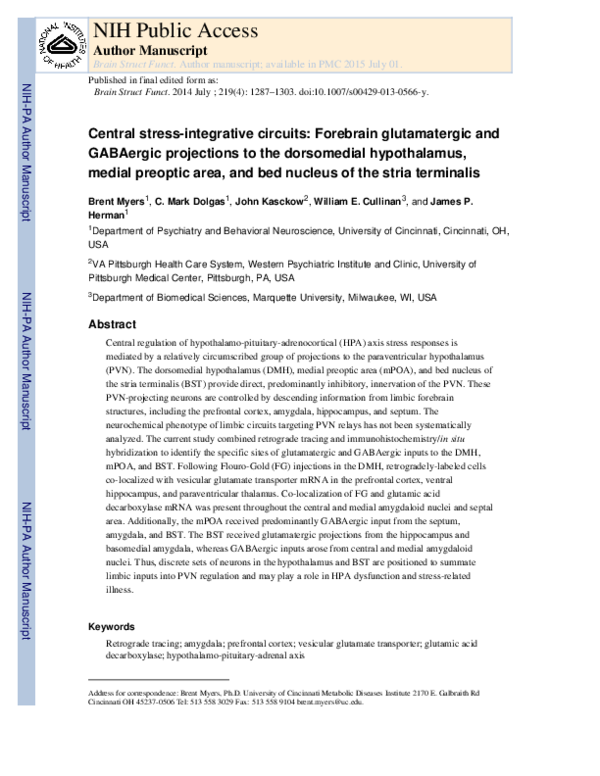 (PDF) Central stress-integrative circuits: forebrain glutamatergic and GABAergic projections to ...
