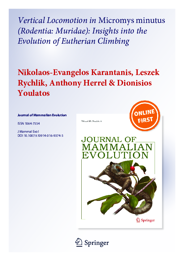 (PDF) Vertical Locomotion in Micromys minutus (Rodentia: Muridae ...