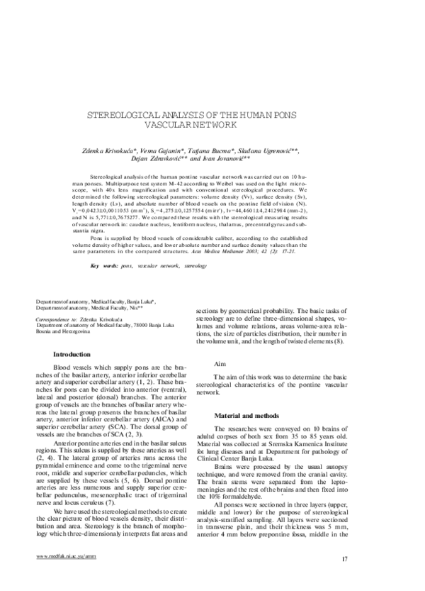 (PDF) Stereological Analysis of the Human Pons Vascular Network