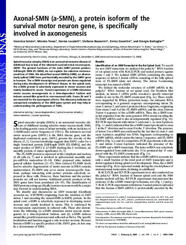 (PDF) Faculty of 1000 evaluation for Axonal-SMN (a-SMN), a protein ...