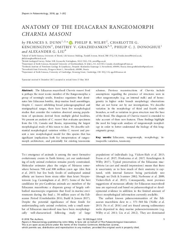 (PDF) Anatomy of the Ediacaran rangeomorph Charnia masoni