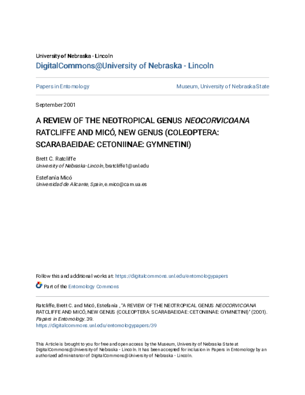 (PDF) A REVIEW OF THE NEOTROPICAL GENUS \u3ci\u3eNEOCORVICOANA\u3c/i ...