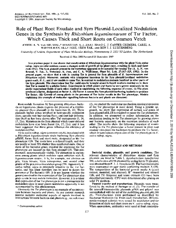 (PDF) Role of plant root exudate and Sym plasmid-localized nodulation ...