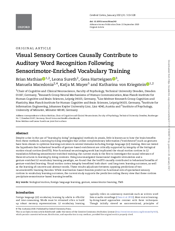 (PDF) Visual Sensory Cortices Causally Contribute to Auditory Word ...
