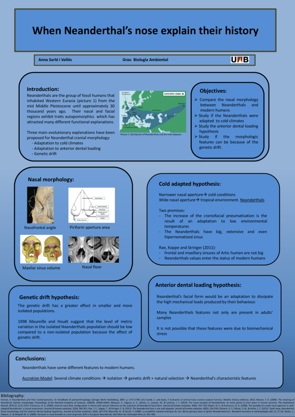 (PDF) When Neanderthal's nose explain their history | Anna Sarlé I ...