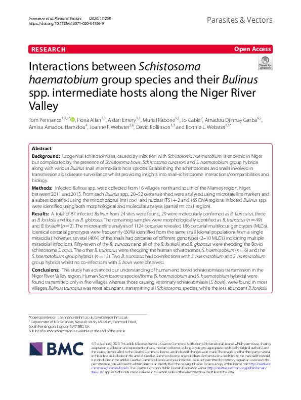 (PDF) Interactions between Schistosoma haematobium group species and ...