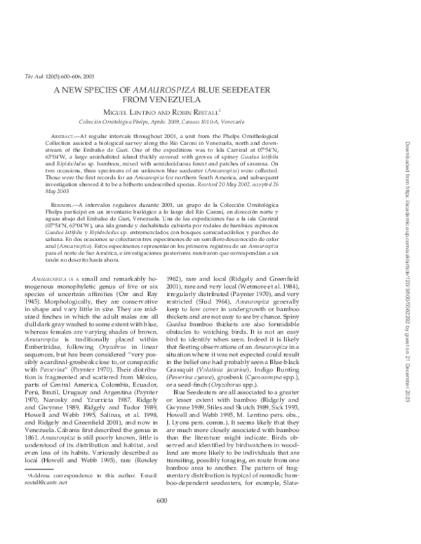 (PDF) A New Species of Amaurospiza Blue Seedeater from Venezuela