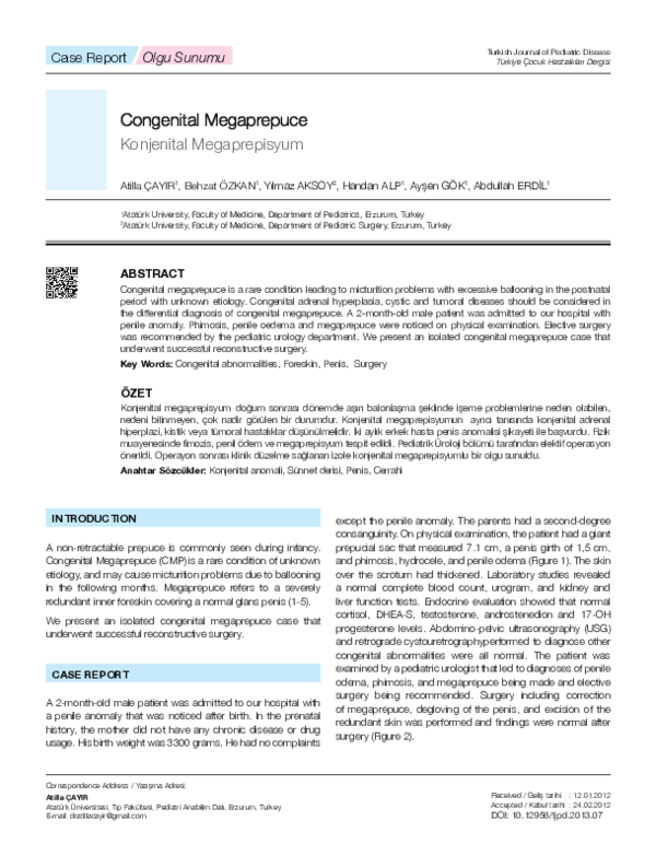 (PDF) Congenital Megaprepuce
