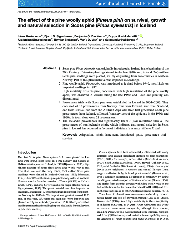 (PDF) The effect of the pine woolly aphid (Pineus pini) on survival ...