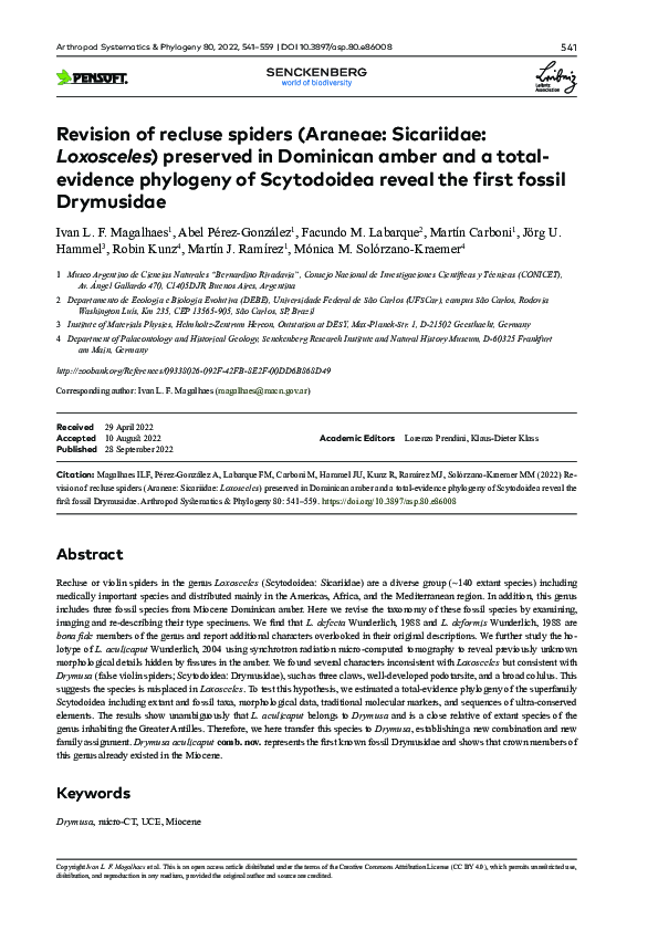 Pdf Revision Of Recluse Spiders Araneae Sicariidae Loxosceles Preserved In Dominican Amber