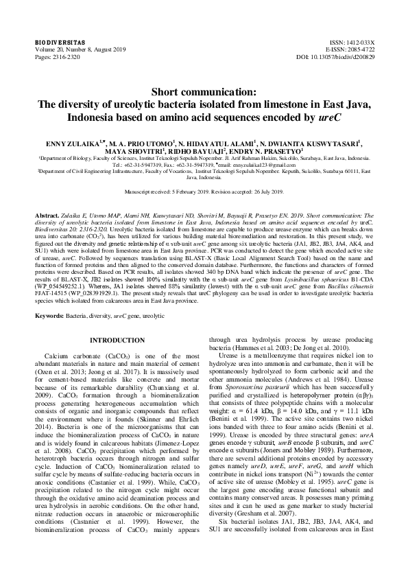 (PDF) Short communication: The diversity of ureolytic bacteria isolated ...