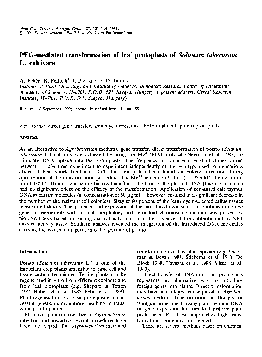 (PDF) PEG-mediated transformation of leaf protoplasts of Solanum ...