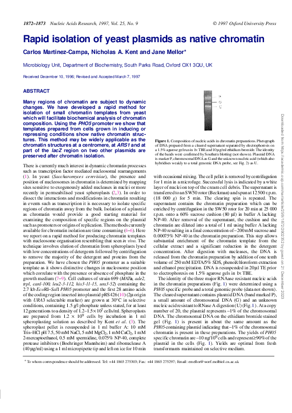 (PDF) Rapid isolation of yeast plasmids as native chromatin