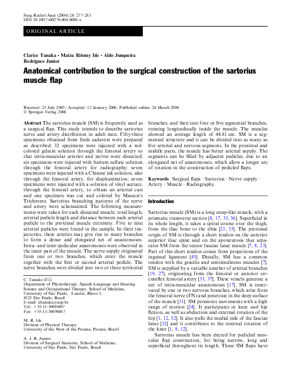 (PDF) Anatomical contribution to the surgical construction of the ...