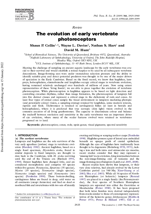 (PDF) The evolution of early vertebrate photoreceptors
