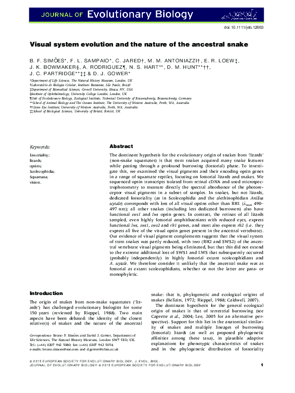(PDF) Visual system evolution and the nature of the ancestral snake