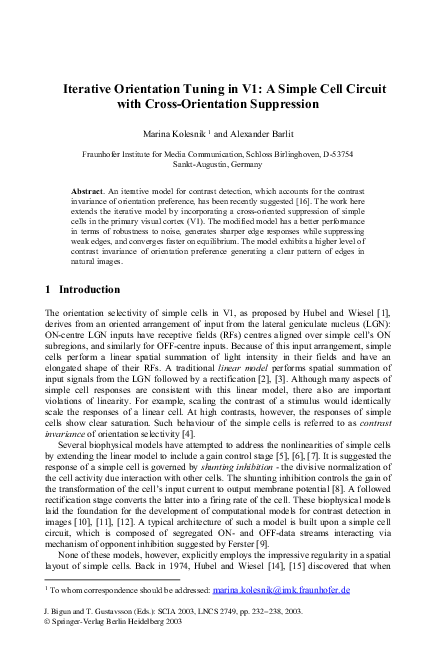 Pdf Iterative Orientation Tuning In V1 A Simple Cell Circuit With