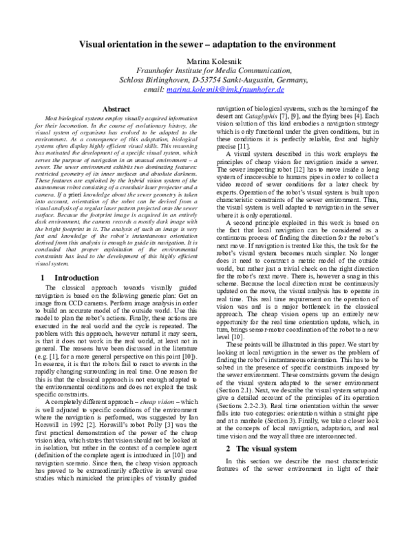 (PDF) Visual orientation in the sewer - adaptation to the environment | Marina Kolesnik ...