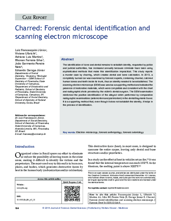 (PDF) Charred: Forensic dental identification and scanning electron ...