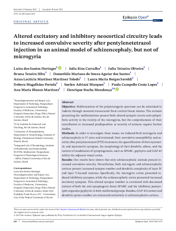 (PDF) Altered excitatory and inhibitory neocortical circuitry leads to ...