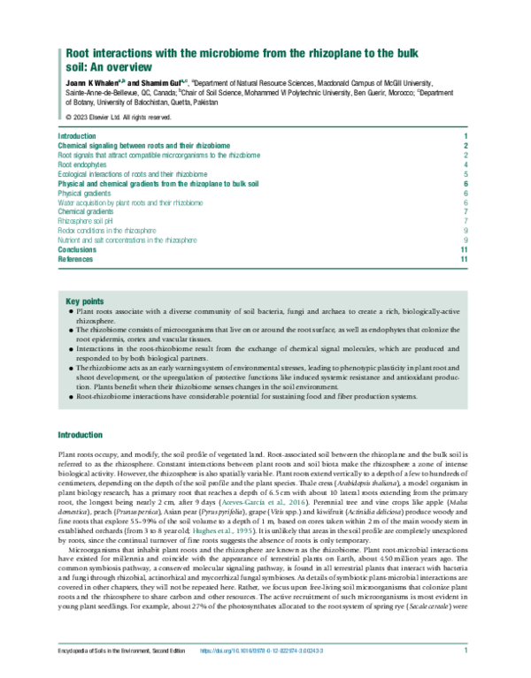 (PDF) Root interactions with the microbiome from the rhizoplane to the ...