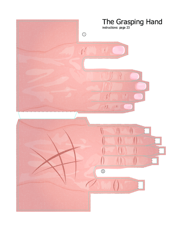 (PDF) The Grasping Hand